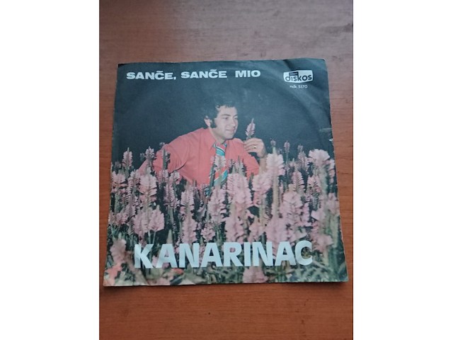 Dragoslav Mihajlović Kanarinac - Sanče. sanče  mio