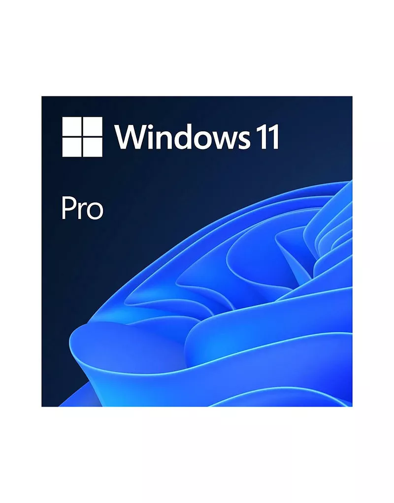 MICROSOFT Windows Pro 11 FPP 64-bit (HAV-00164)