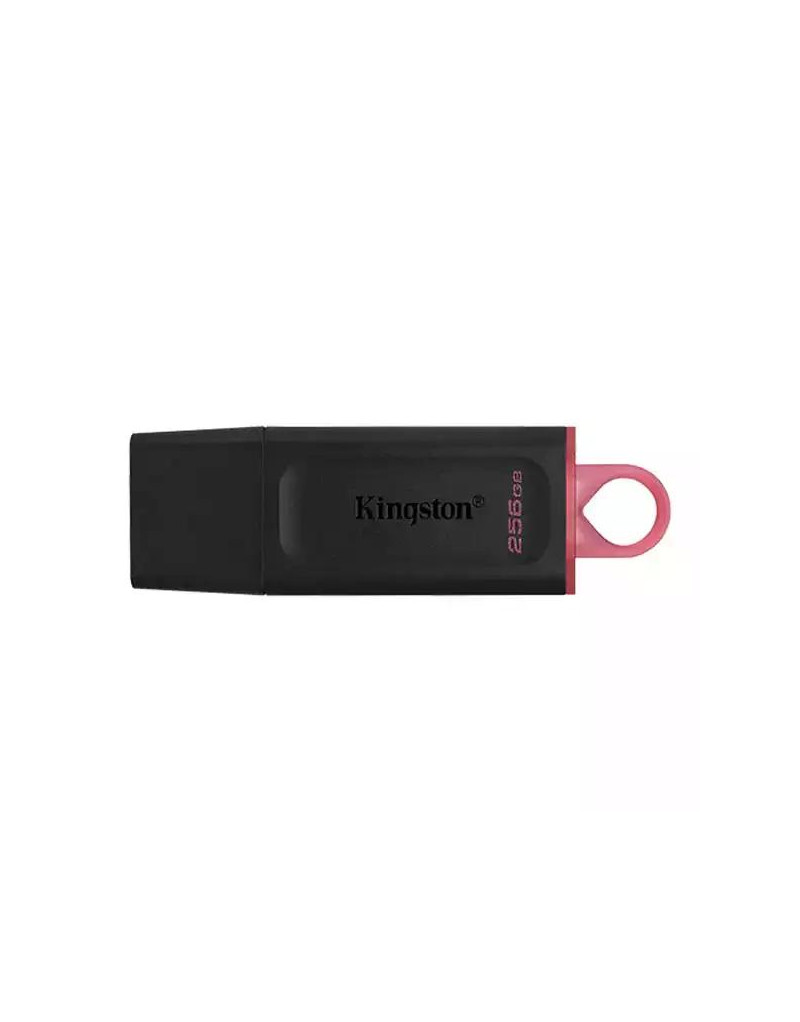 USB Flash 256 GB Kingston 3.2 Exodia DTX/256GB