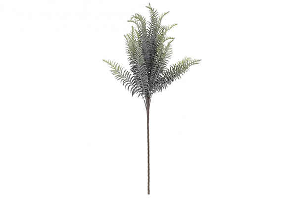 Dekorativna biljka fern green 40x95