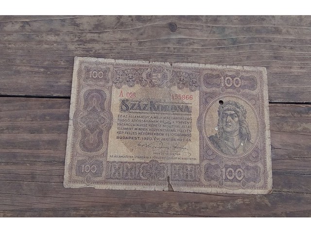 MADJARSKA 100 K 1920