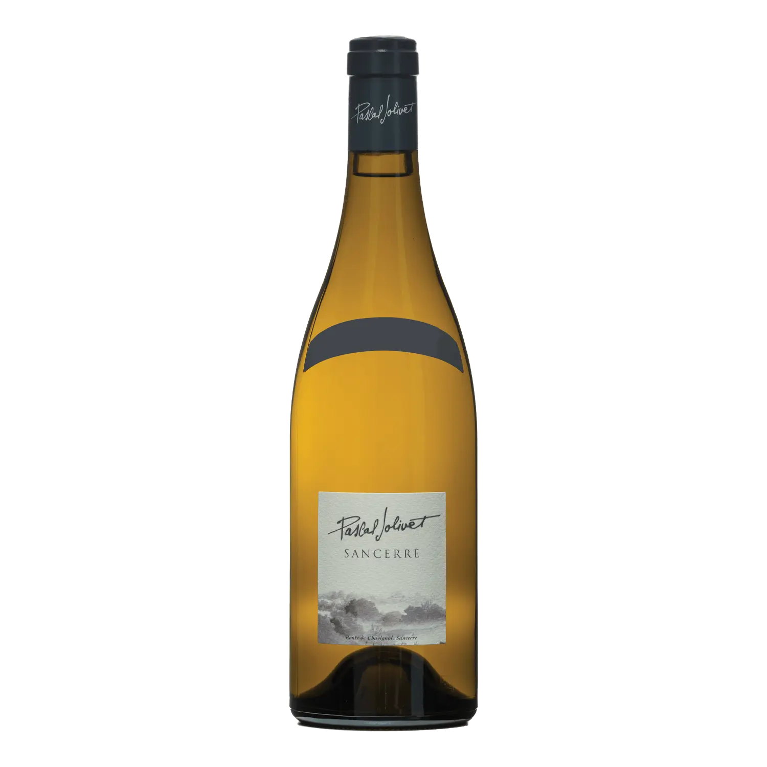 DOMAINE PASCAL JOLIVET Sancerre Belo vino, 2020, 0.75l