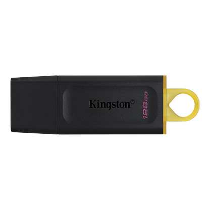USB Fleš 128GB Kingston 3.2 Data Traveler Exodia