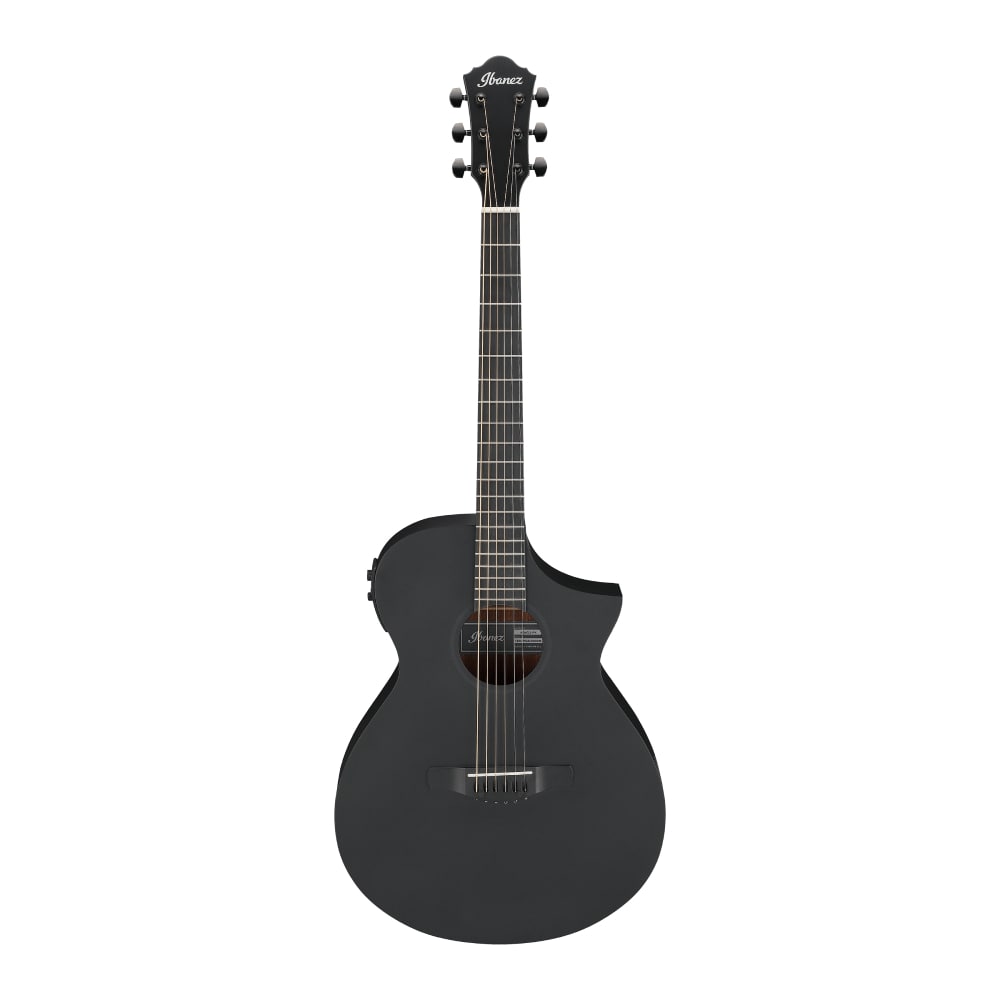 IBANEZ AEWC13-WK Akustična gitara