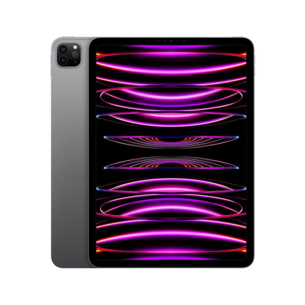 APPLE 12.9-inch iPad Pro (6th) Wi_Fi 256GB - Space Grey (mnxr3hc/a)