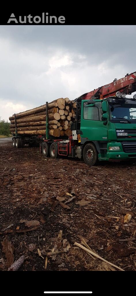 DAF 85.510 kamion za prevoz drva