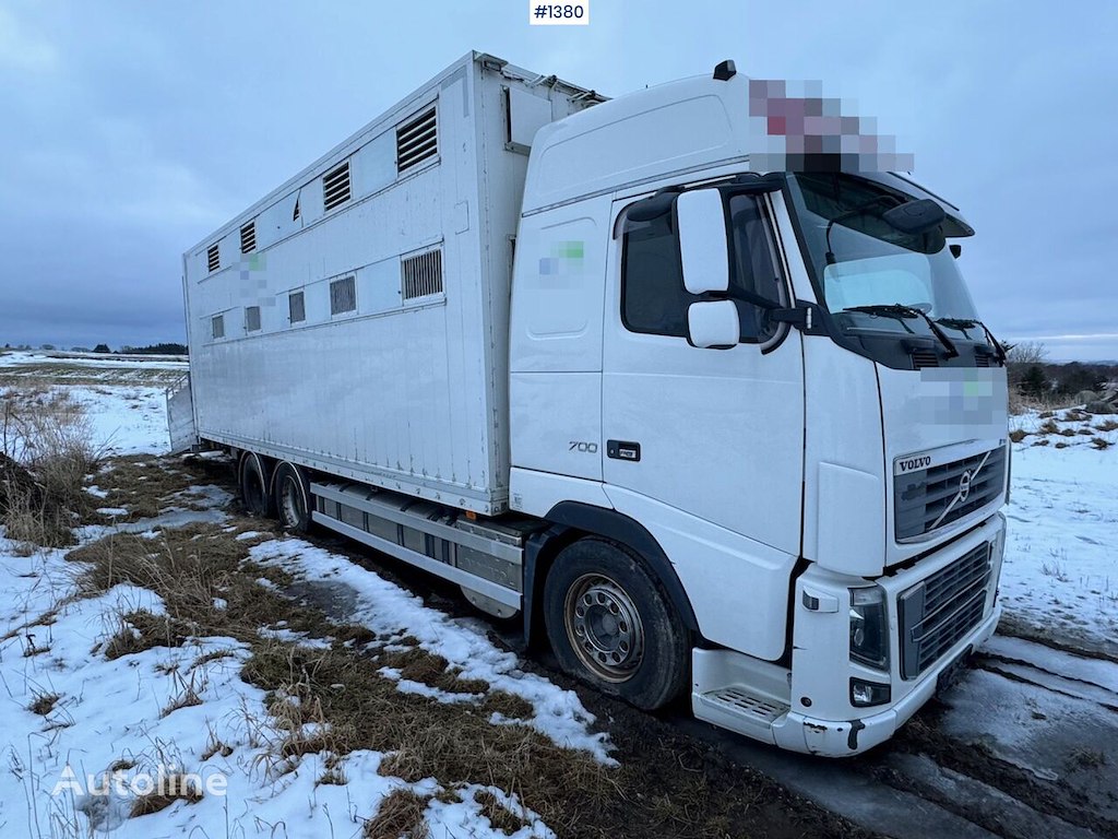 Volvo FH16 kamion za prevoz stoke