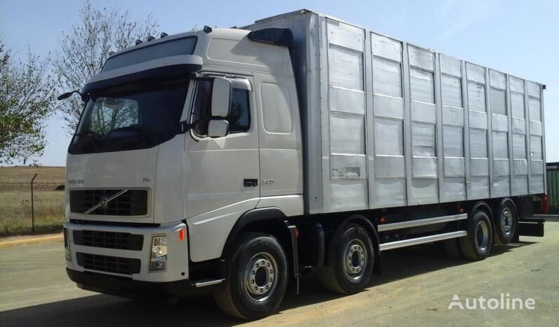Volvo FH16 520 kamion za prevoz stoke