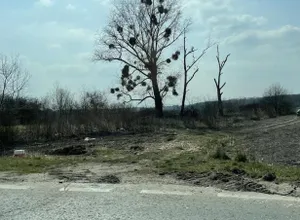 Prodaja Građevinsko zemljište - Sombor, Bezdan