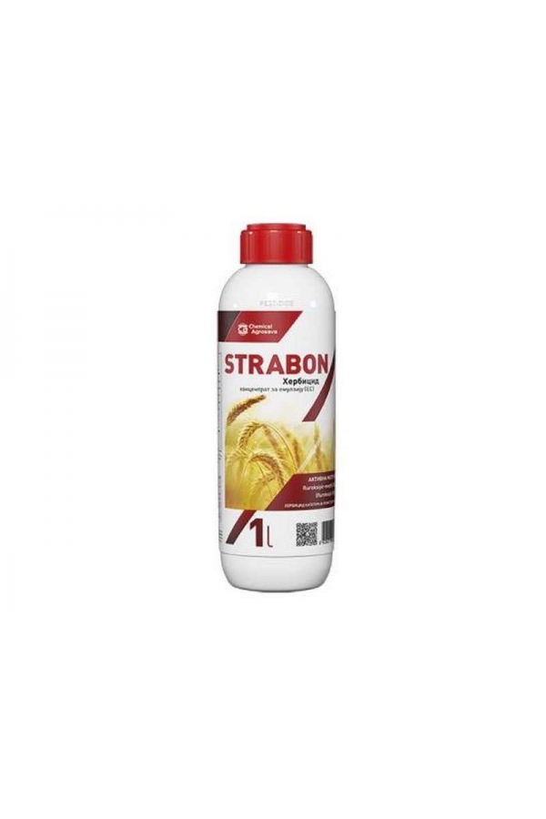 STRABON 1/1
Šifra: 4146 JM: LIT
