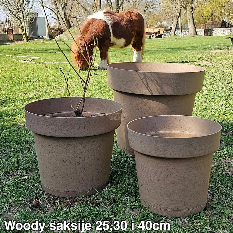 Okrugla saksija fi25 h 22, 10l Woody