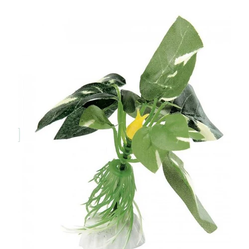 OUTLET FERPLAST Bilje za akvarijum Anubias, svileno 10cm