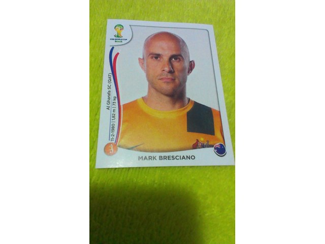 Panini FIFA 2014 Brazil sličica broj 176