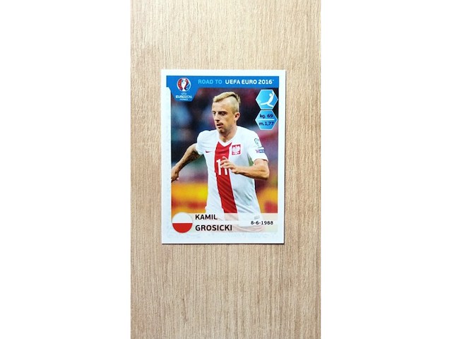 Road to Euro 2016 Panini sličica broj 222