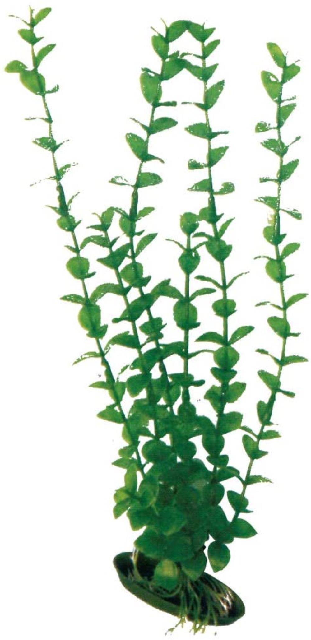 DEKORACIJA BILJKE ROTALA SM