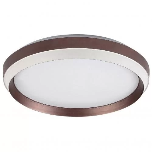 Led plafonjera Fontana 71159 Rabalux