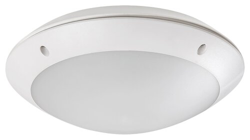 8555 Lentil LED