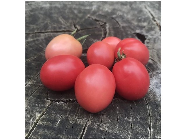 Tajlandsko jaje paradajz - 15 semenki