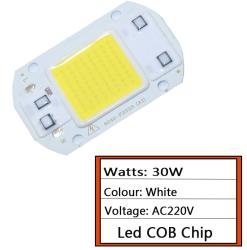 LED 30W-BELO/220V