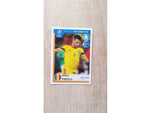 Road to Euro 2016 Panini sličica broj 250