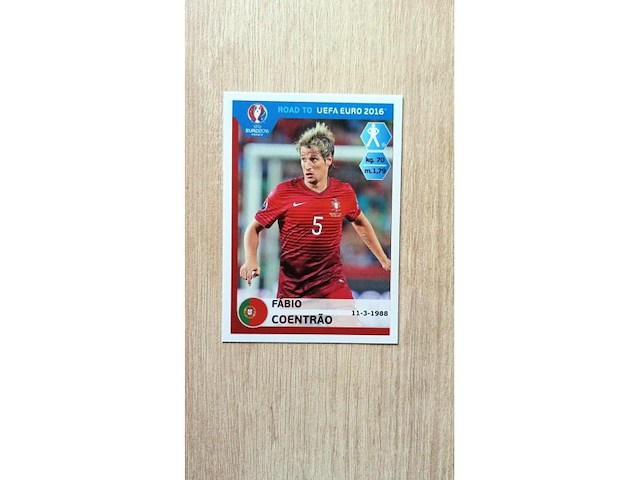 Road to Euro 2016 Panini sličica broj 229