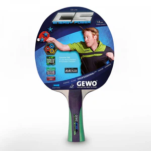 GEWO - CS Energy Power