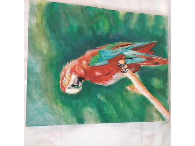 Slika papagaja