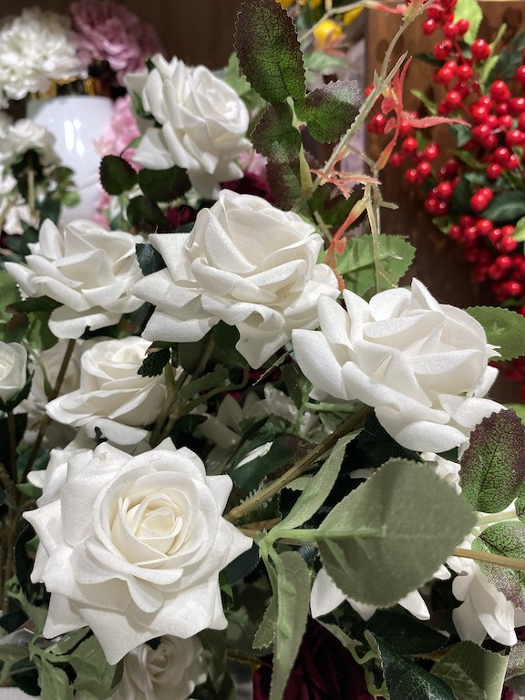 Ruža D172 – bela