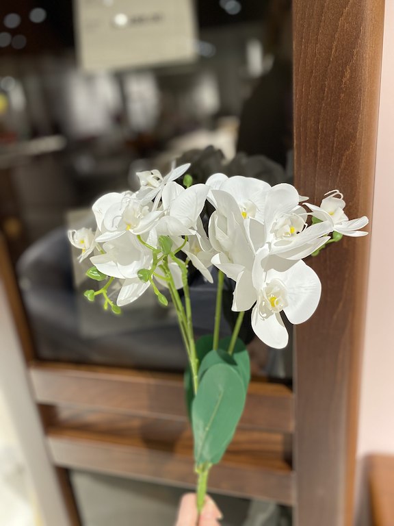 Orhideja – bela