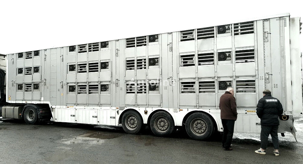 Pezzaioli SBA63U For pigs or bovines poluprikolica za prevoz stoke