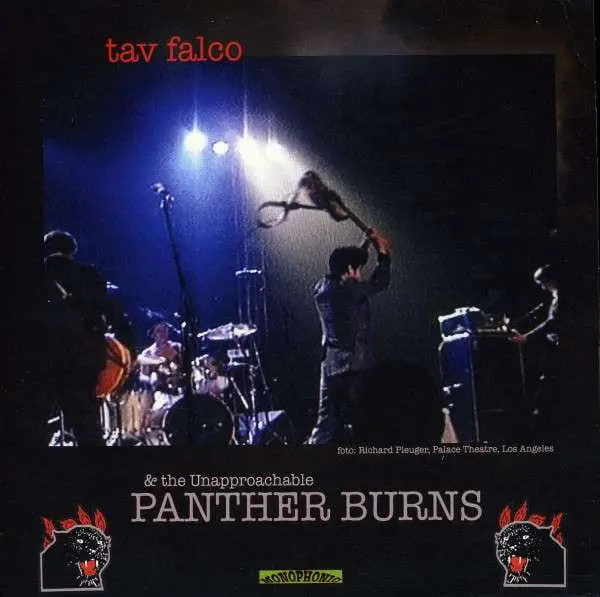 Tav Falco And Panther Burns - Administrator Blues