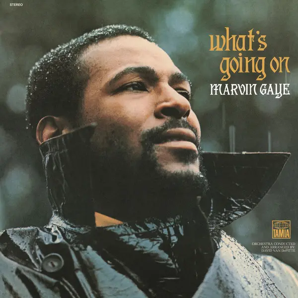 MARVIN GAYE - What's Going On (Back To Black LP)