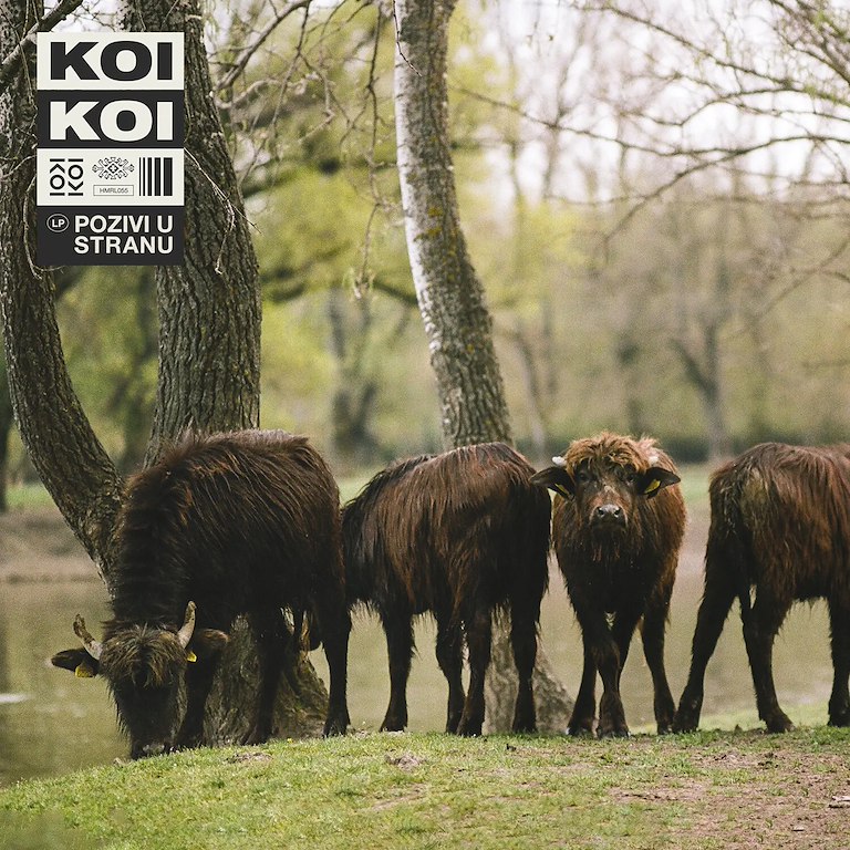 KOIKOI – Pozivi u stranu – LP (0756029086104)