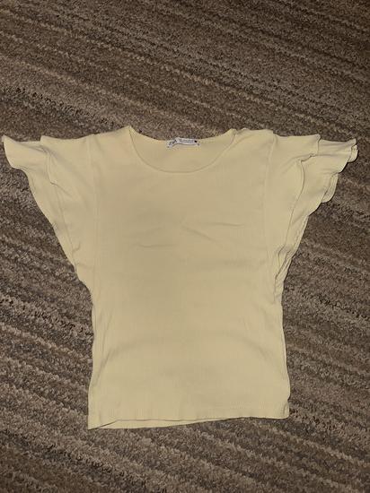 Zara crop top