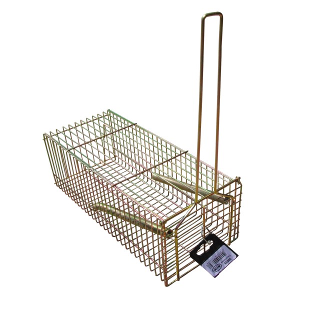 Kavez za pacove - pacolovka 38x17x13cm