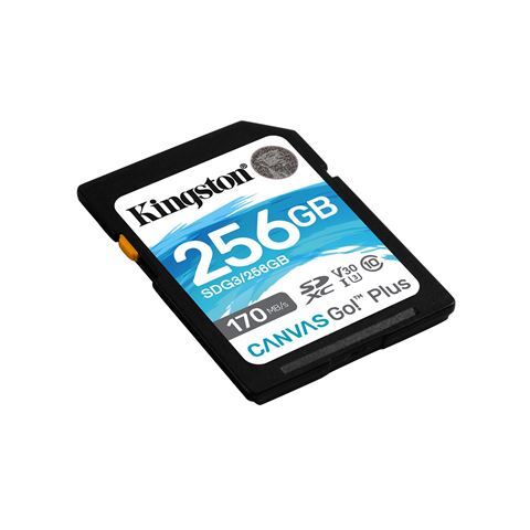 SD CARD 256GB KINGSTON SDG3/256GBID: EK000589087