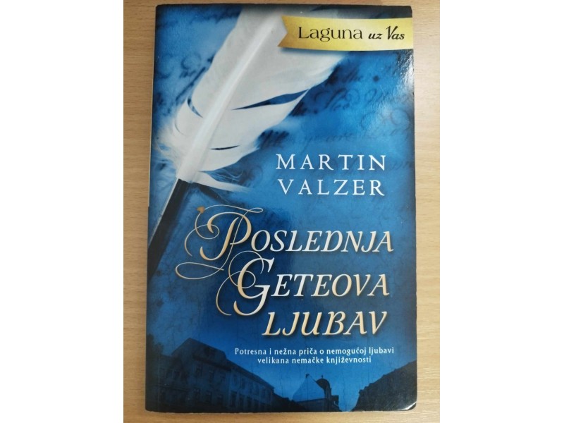 Poslednja Geteova ljubav - Martin Valzer