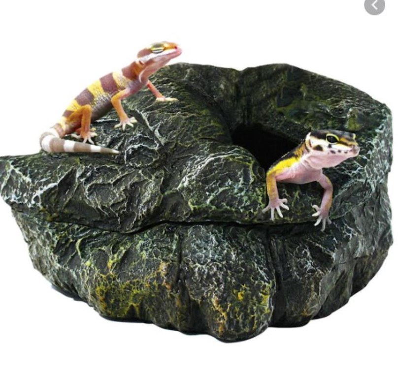 KUCICA ZA REPTILE 20CM