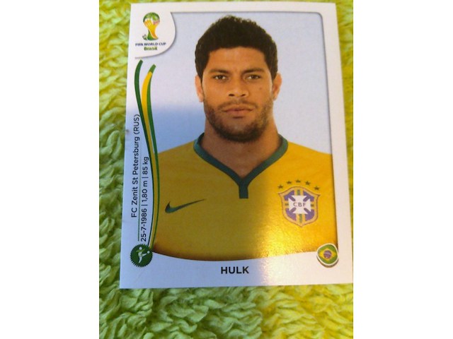 Panini FIFA 2014 Brazil sličica broj 049