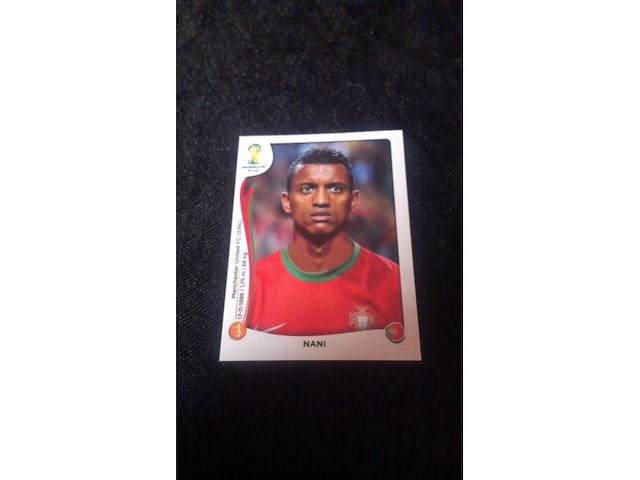 Panini FIFA 2014 Brazil sličica broj 521