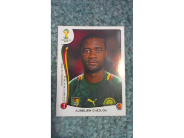 Panini FIFA 2014 Brazil sličica broj 092