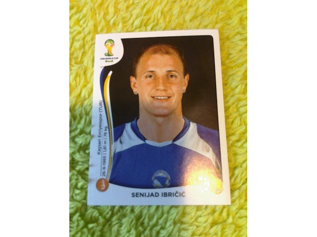 Panini FIFA 2014 Brazil sličica broj 440