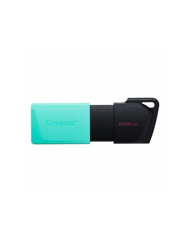 USB Flash Kingston 256GB DataTraveler Exodia M, USB3.2 DTXM/256GB