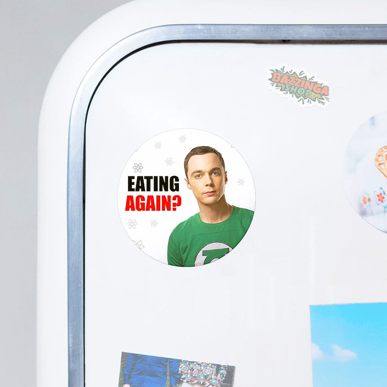 SHELDON MAGNET