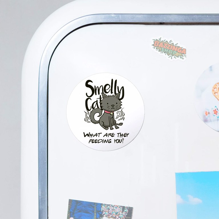 SMELLY CAT MAGNET