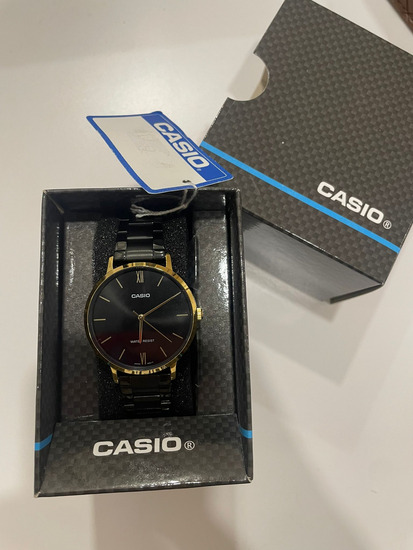 CASIO SAT