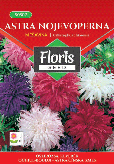 FLORIS Cveće Astra Nojevoperna,mix 0,5g 50507