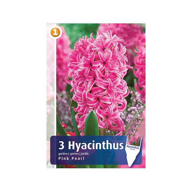 HYACINTHUS PINK PEARL 3/1