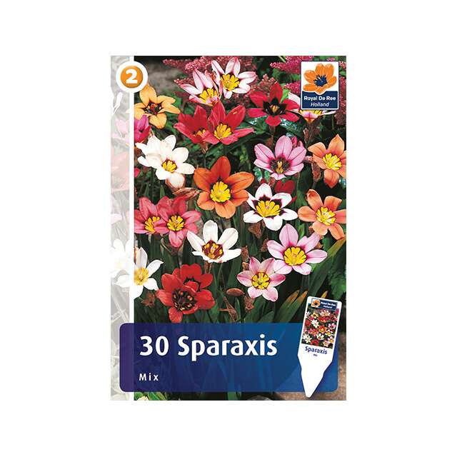 SPARAXIS MIX 30/1