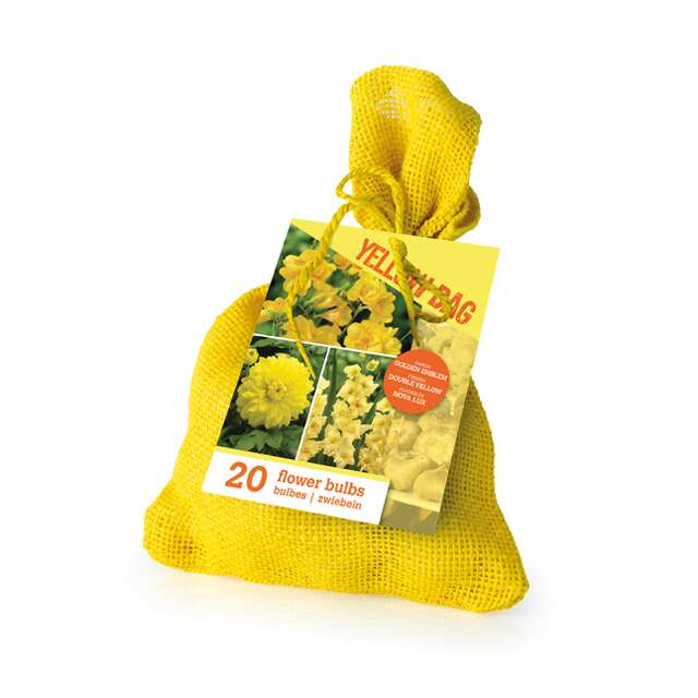 The Yellow Bag 20/1